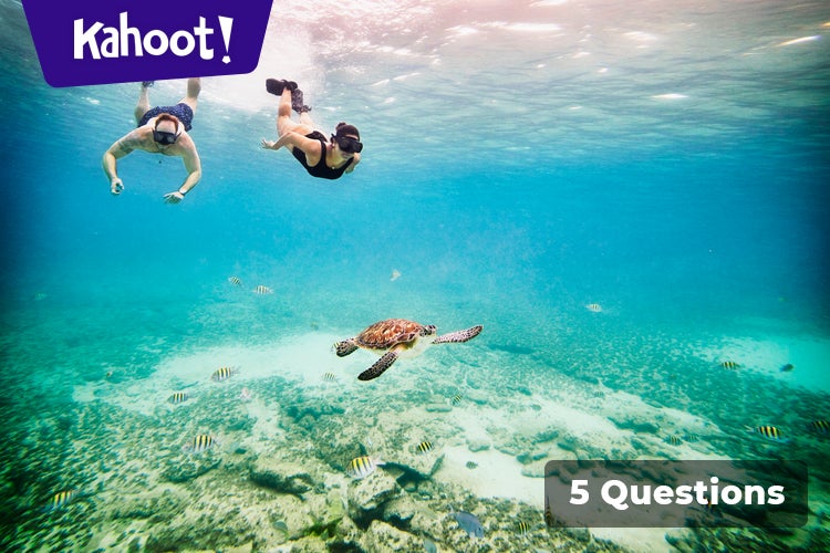Ocean life - Kahoot! Quiz