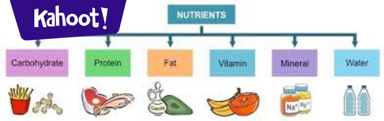BIO 172 - Exam #3 (Nutrition/Metabolism) - Kahoot! Quiz