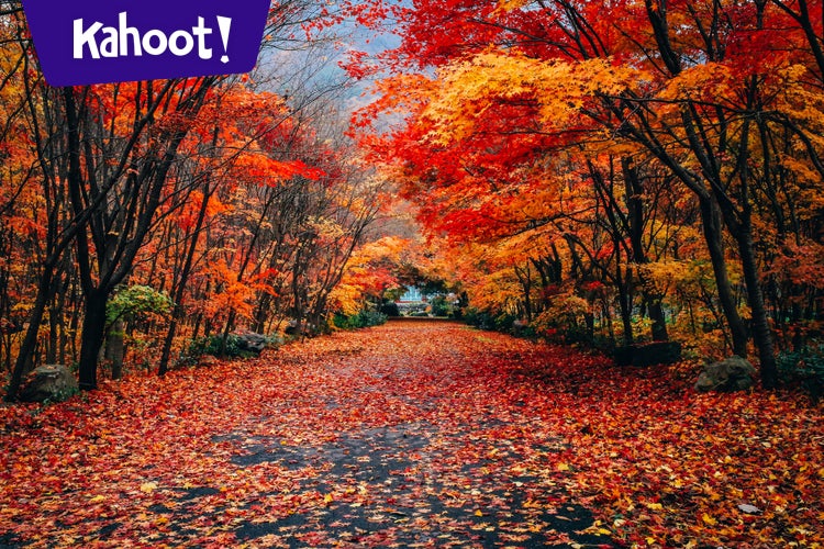 Autumn Words & Colors - Kahoot! Quiz