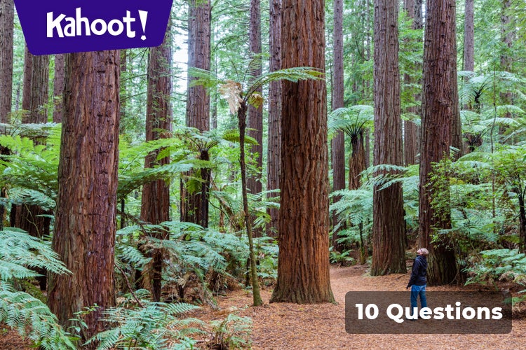 Superlative Adjective Practice 1 - Kahoot! Quiz