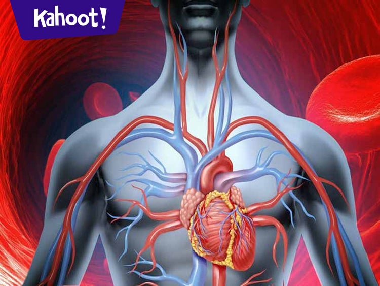 BIO | Blood circulation - Kahoot! Quiz
