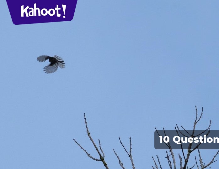 Fluency English Parts of speech 2 - Kahoot! Quiz