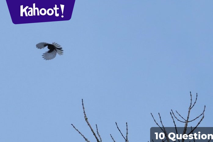 Fluency English Parts of speech 2 - Kahoot! Quiz