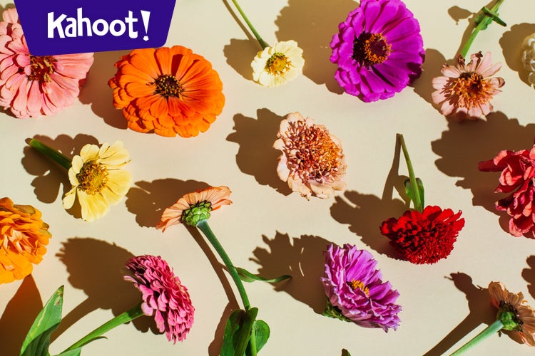 Phonics “er/ ir/ ur” sounds - Kahoot! Quiz