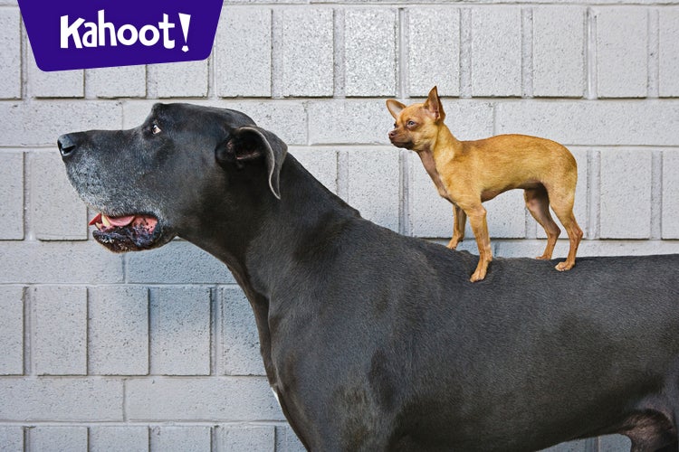 3rd Grade,3rd Unit - Kahoot! Quiz