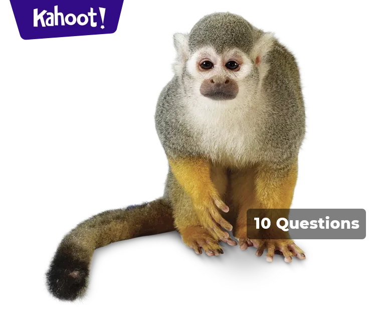 Primates - Kahoot! Quiz