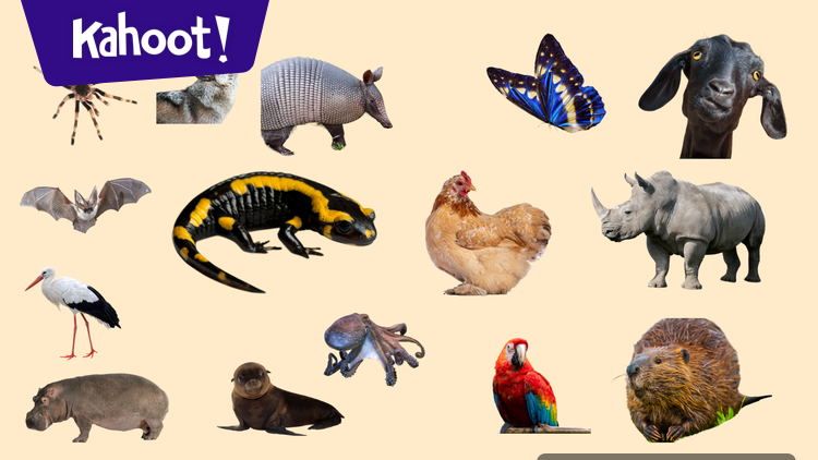 Animals. 03. Pin - Kahoot! Quiz