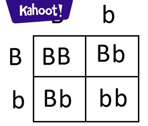 DNA and the genome + genetic inheritance - Kahoot! Quiz