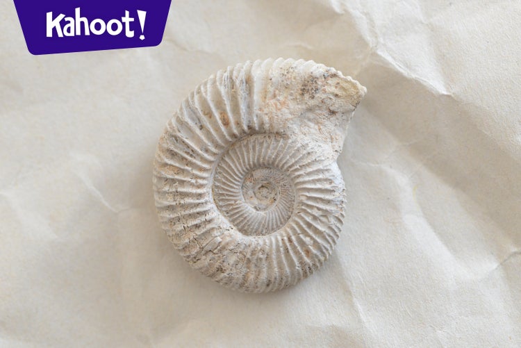 Identify and classify fossils 5th v1 - Kahoot! Quiz