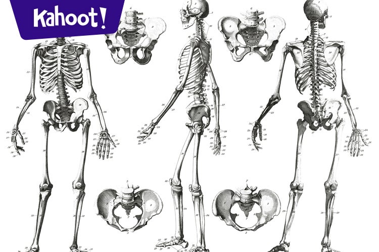 Unit 6B Skeletal System - Kahoot! Quiz