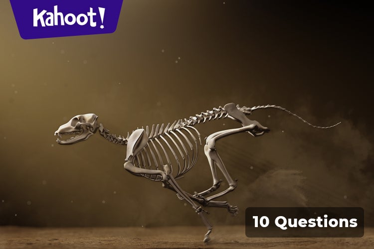 VN03 - Axial Skeleton - Kahoot! Quiz