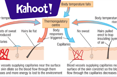 Control of body temperature AQA GCSE Biology - Kahoot! Quiz