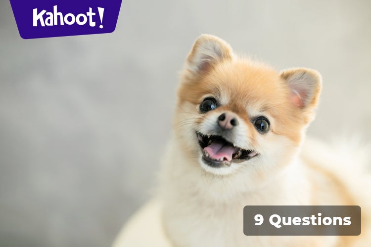NAME OF ANIMALS - Kahoot! Quiz