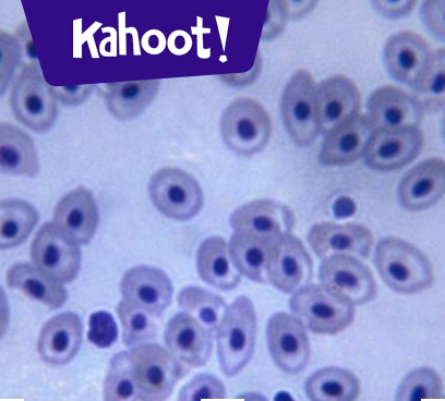 Cell Organelles - Kahoot! Quiz