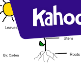 Parts of a plant - Kahoot! Quiz