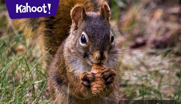 Biology: Environmental and Genetic Influences on Growth - Kahoot! Quiz