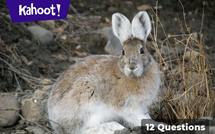 Plant/Animal Seasonal Adaptations - Kahoot! Quiz