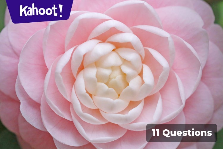 Plant Biology - Kahoot! Quiz