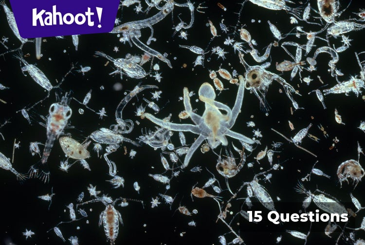 Earth Science: Ocean Habitats - Kahoot! Quiz