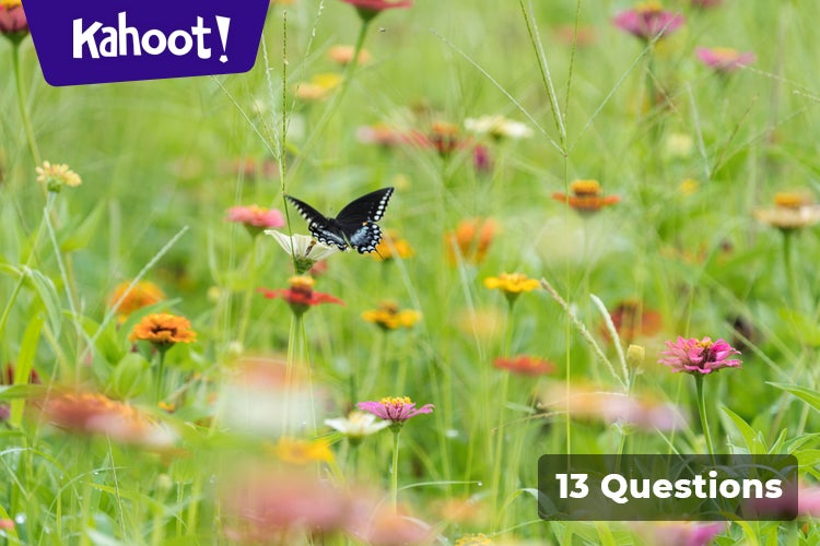 Science: By the Numbers - Kahoot! Quiz