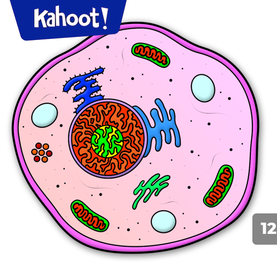 Basic Cell structure and function - Kahoot! Quiz