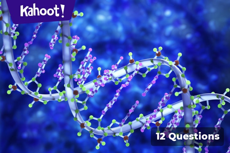 Module 8 - Kahoot! Quiz