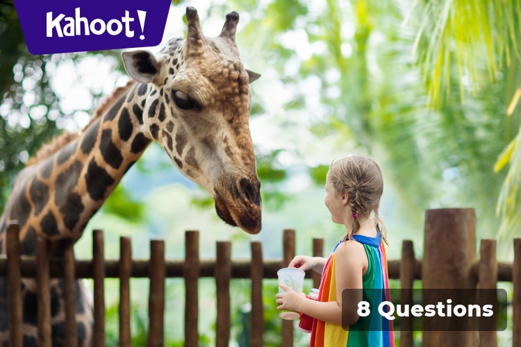 Practice Spelling: Animals - Kahoot! Quiz