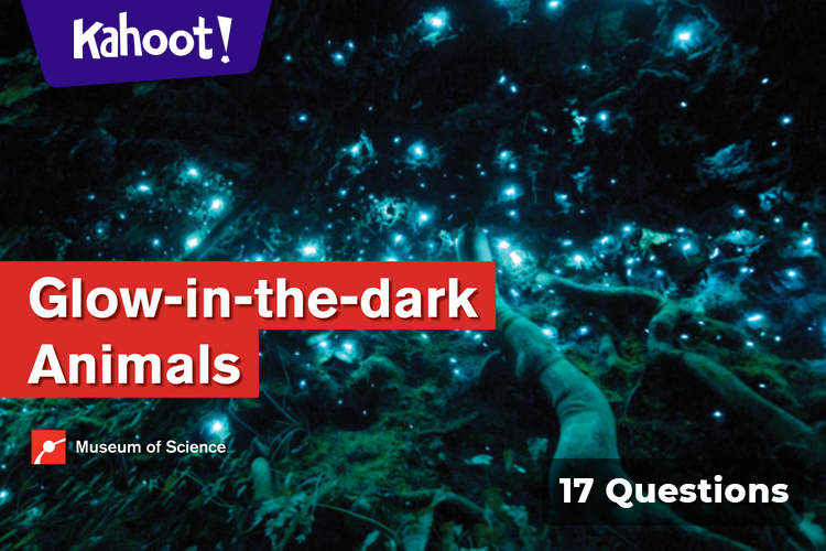 Glow-in-the-dark Animals - Kahoot! Quiz
