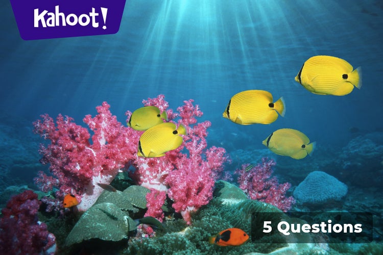 Science of the ocean - Kahoot! Quiz