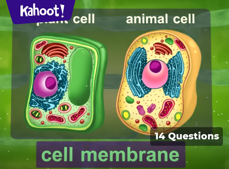 Plant & Animal Cells - Kahoot! Quiz