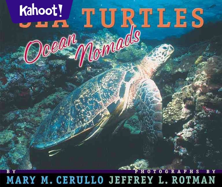 Sea Turtles: Ocean Nomads - Kahoot! Quiz