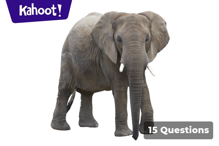 Animals RCH - Kahoot! Quiz