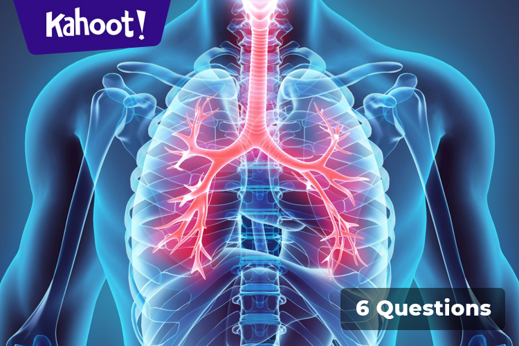 A&P 1 - Human Anatomy Trivia - Kahoot! Quiz