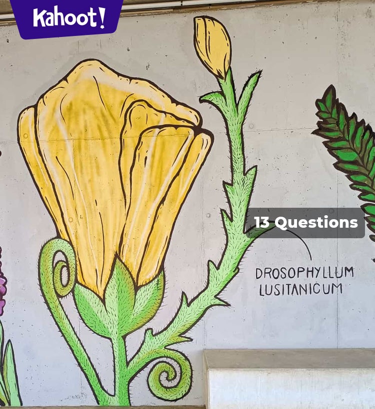 Plant Adaptations - Kahoot! Quiz