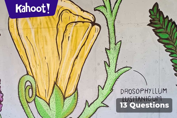 Plant Adaptations - Kahoot! Quiz