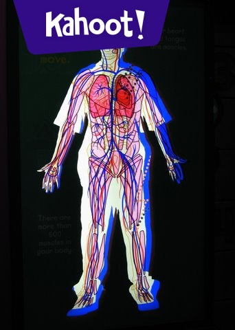 HB- Human Body Systems (#1) - Kahoot! Quiz