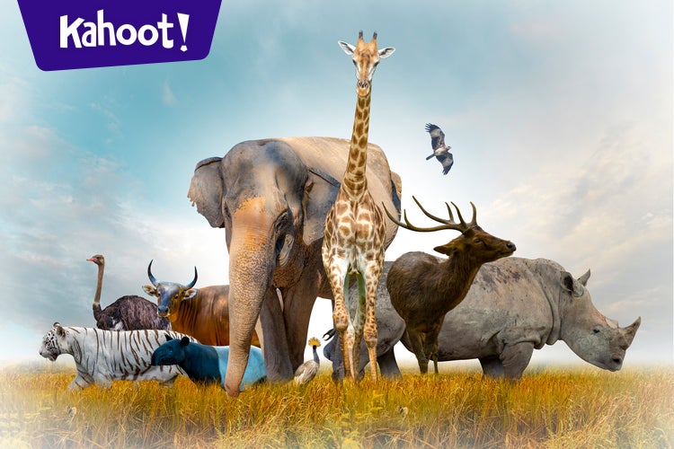 Animal Adjectives - Kahoot! Quiz