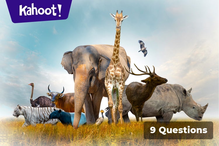 Memory Games: Animals - Kahoot! Quiz