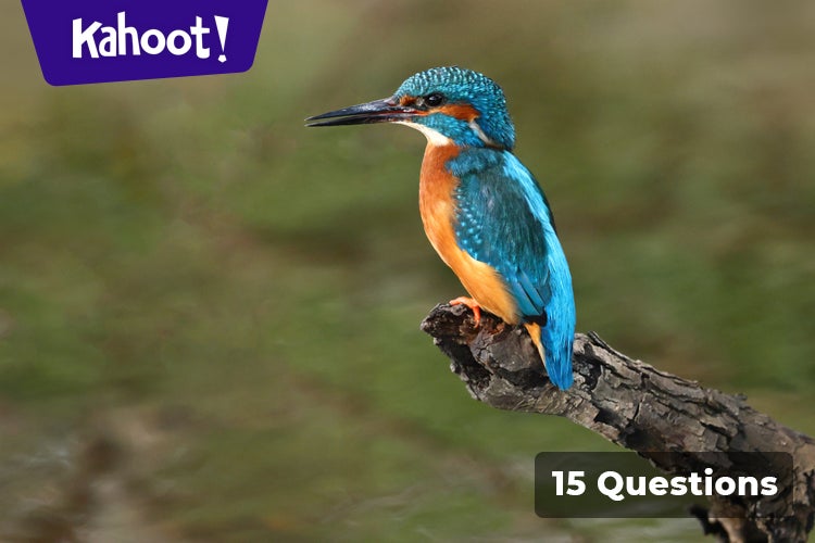 Amazing Species - Kahoot! Quiz