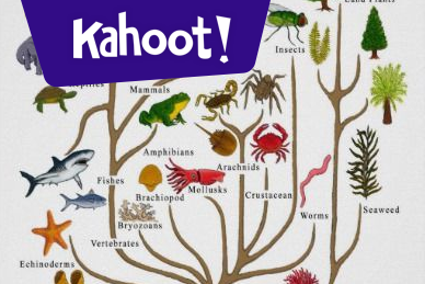 Life Science: Evidence of Evolution - Kahoot! Quiz