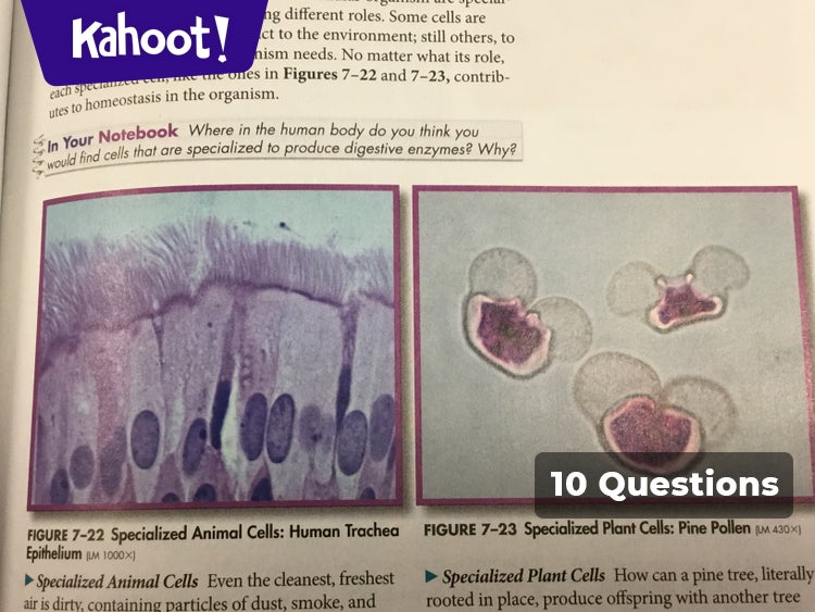 7.4 Homeostasis and Cells - Kahoot! Quiz