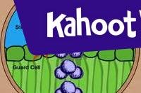 Intercambio de gases - Kahoot! Quiz