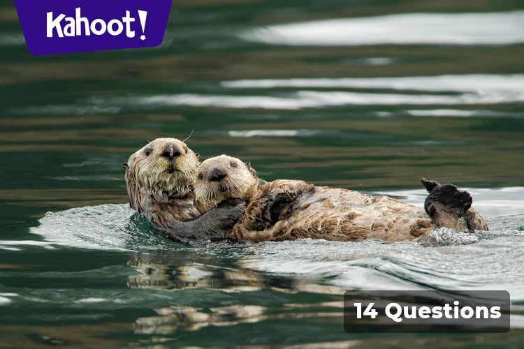 Amplify Science Ecosystem Restoration Review - Kahoot! Quiz