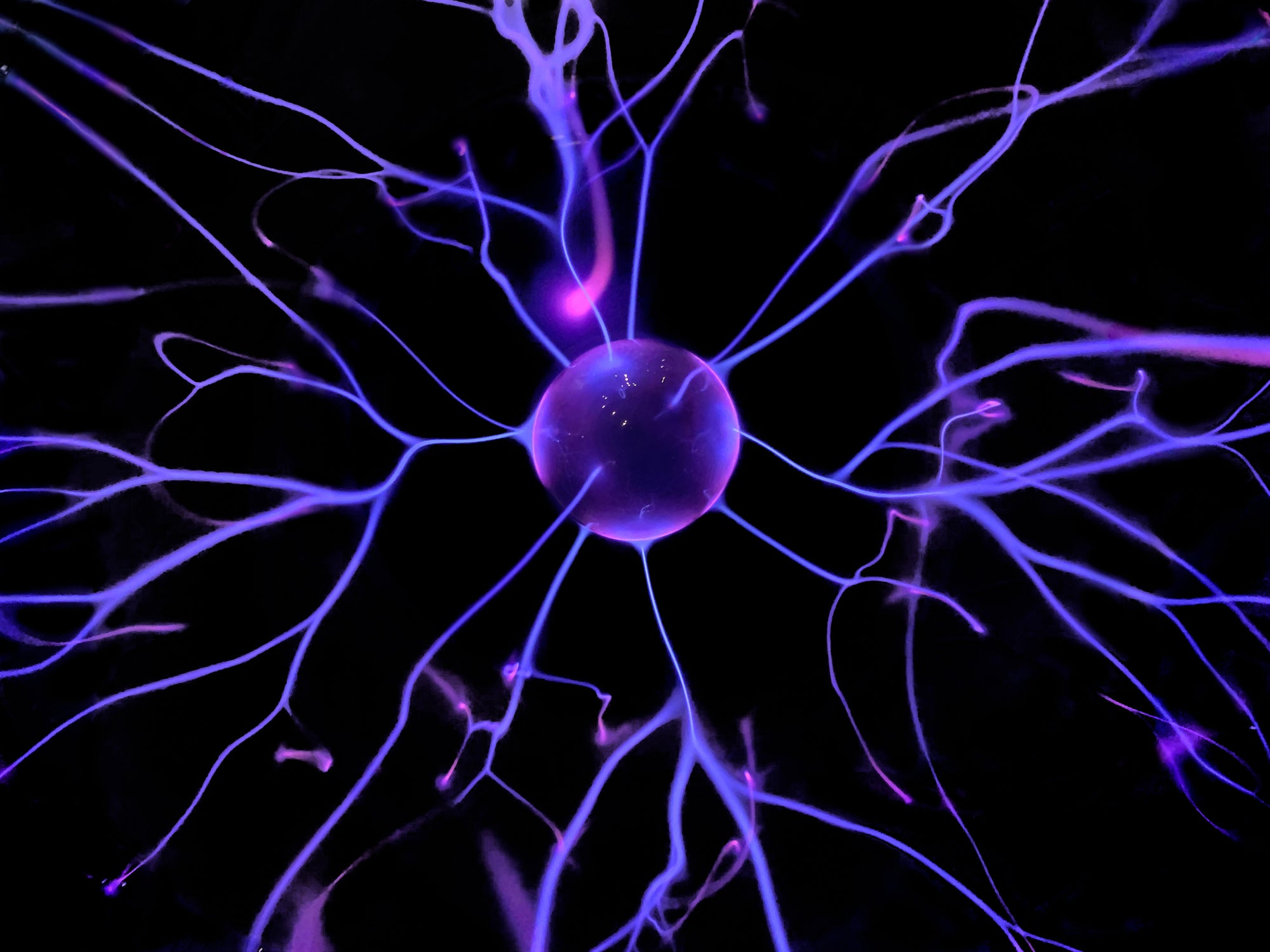 Spark Up The Brain - Kahoot! Quiz