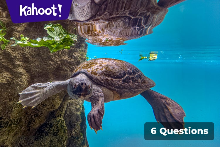 Book3 Unit3 Read and Think2 (Reading) - Kahoot! Quiz