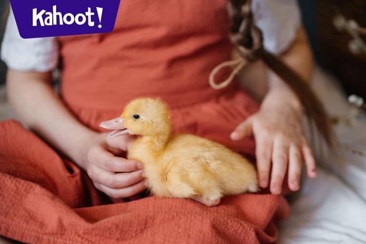 Dill the Duck. To review words with ending in ck - Kahoot! Quiz