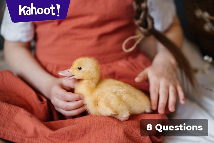 Animals for Kids - Kahoot! Quiz