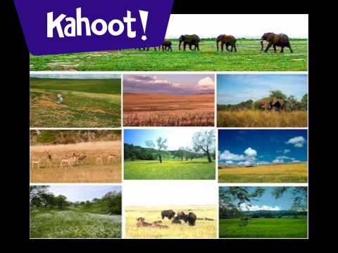 BrainPOP: Land Biomes - Kahoot! Quiz