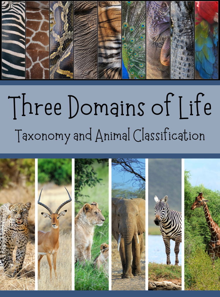 Taxonomy and the Three Domains of Life Mega Bundle (with printables ...