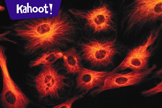 Genetic Engineering - Kahoot! Quiz